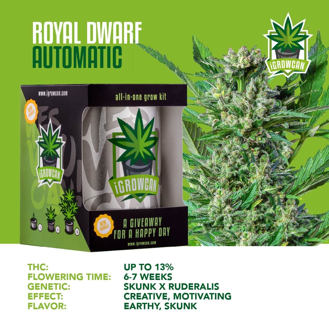 iGrowcan - The All-in-One Cannabis Grow Kit - Wholesale and Retail - Happy Holland