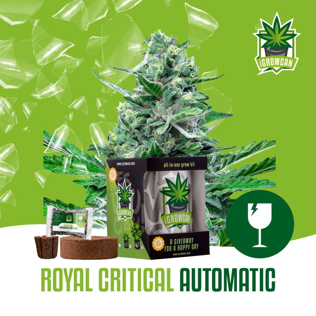 iGrowcan - The All-in-One Cannabis Grow Kit - Wholesale and Retail ...