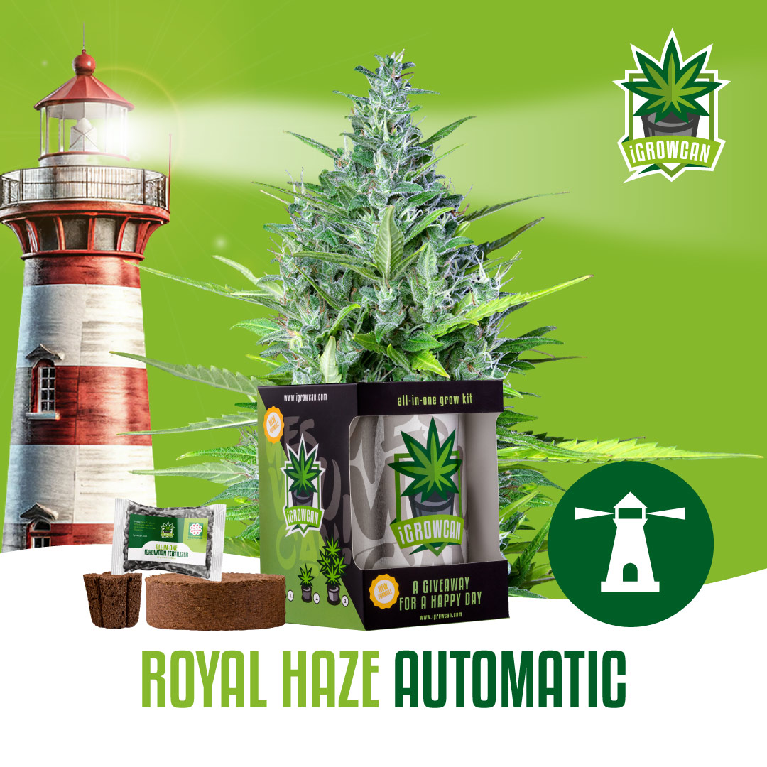 iGrowcan - The All-in-One Cannabis Grow Kit - Wholesale and Retail ...