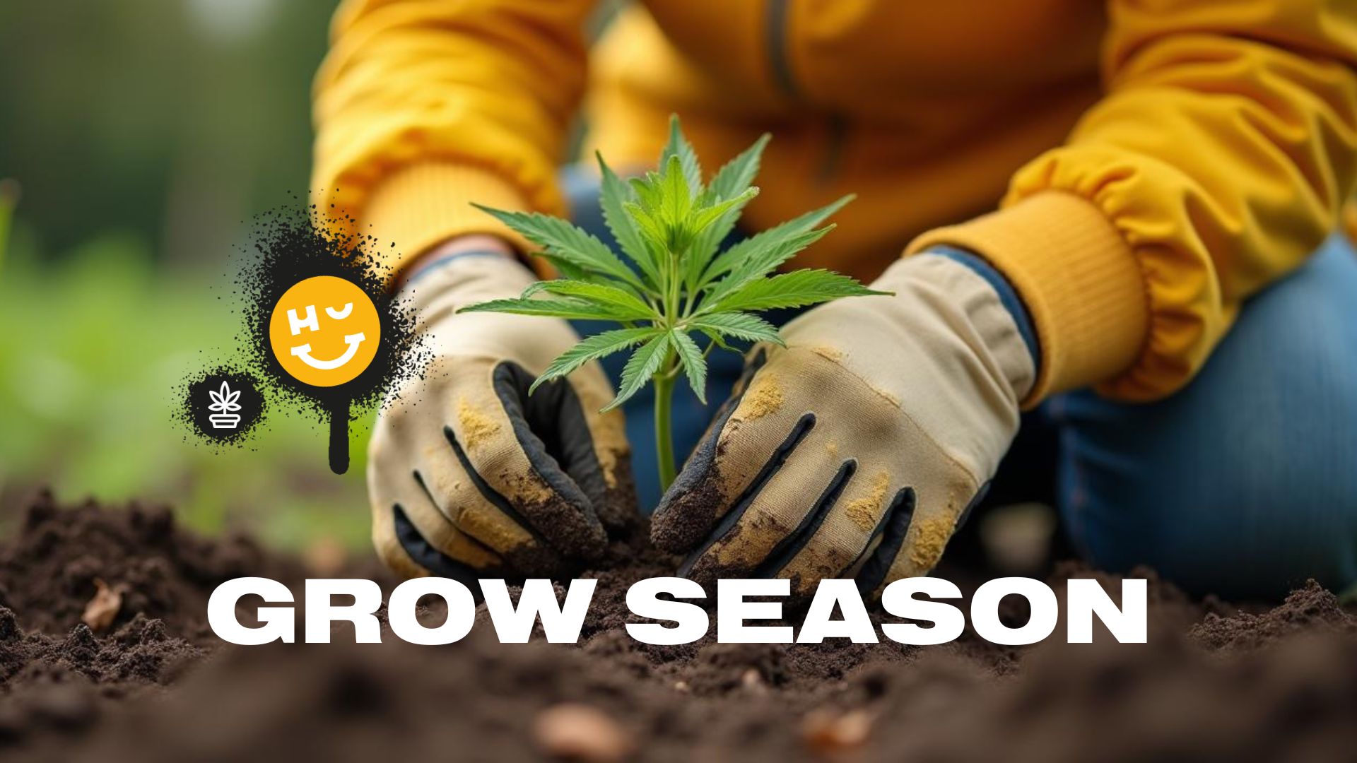 Grow Season Has Started: Everything Smartshops Need to Know - Happy Holland