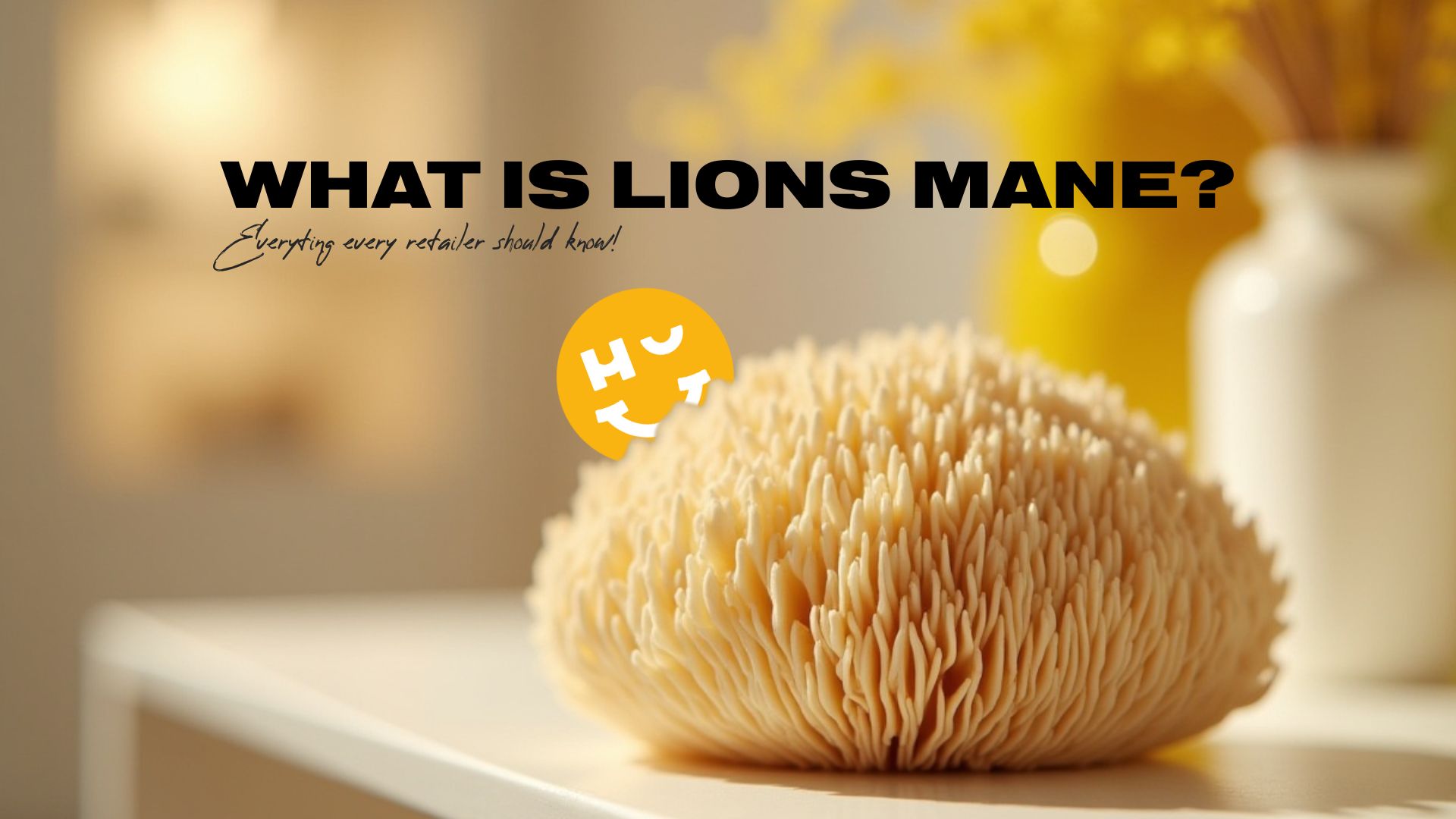 What Is Lion’s Mane and Why It Belongs in Your Product Line - Happy Holland